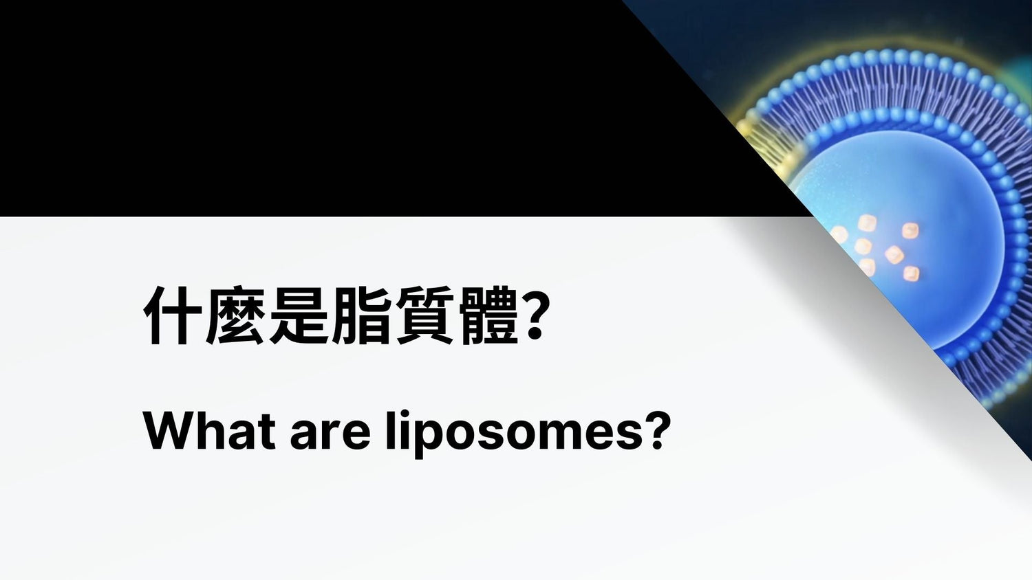 What are Liposomes? | Ascent – Ascent International Limited